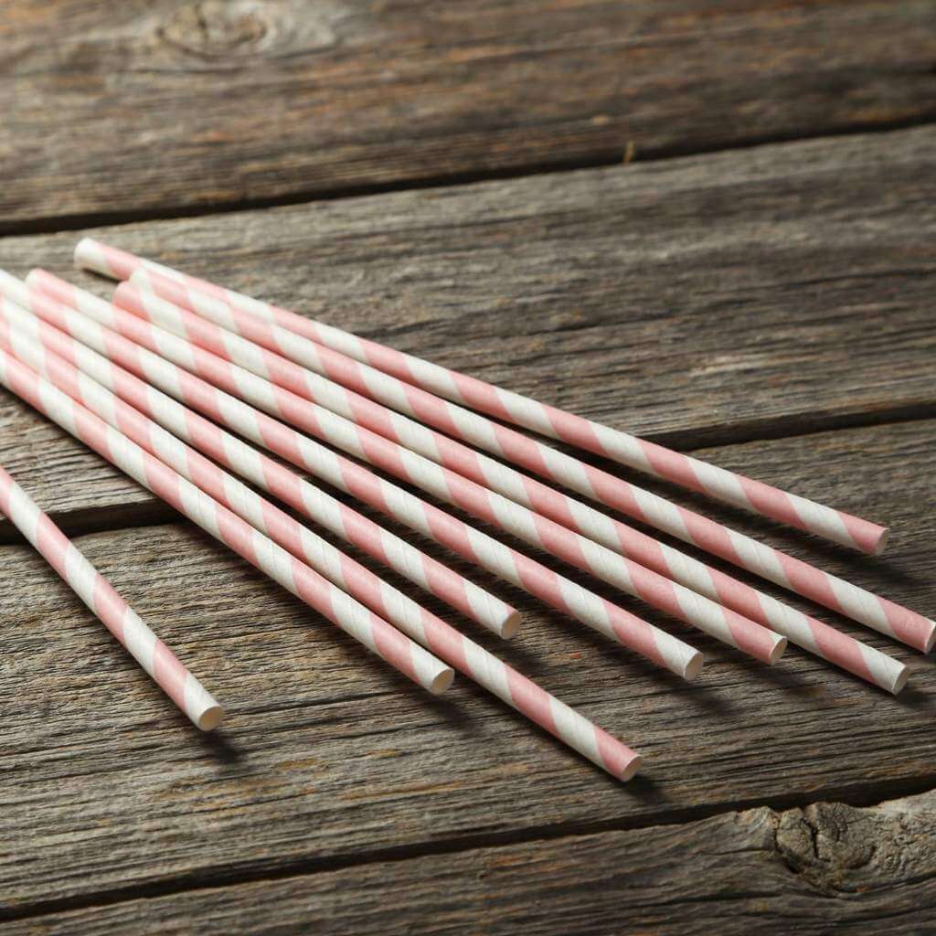 4pk Dinosaur Swirly Plastic Straws | Online Party Supplies